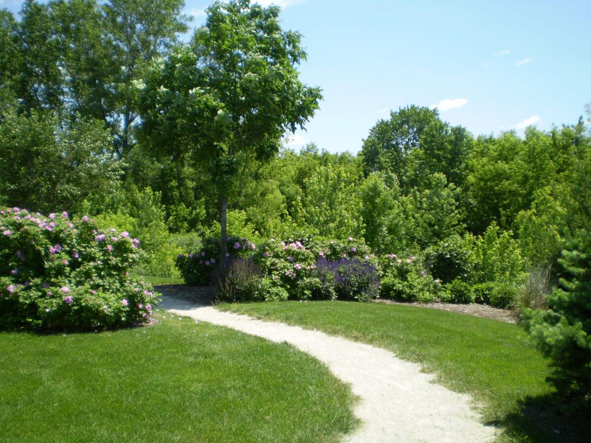 Softscape | Grow Rite Landscape