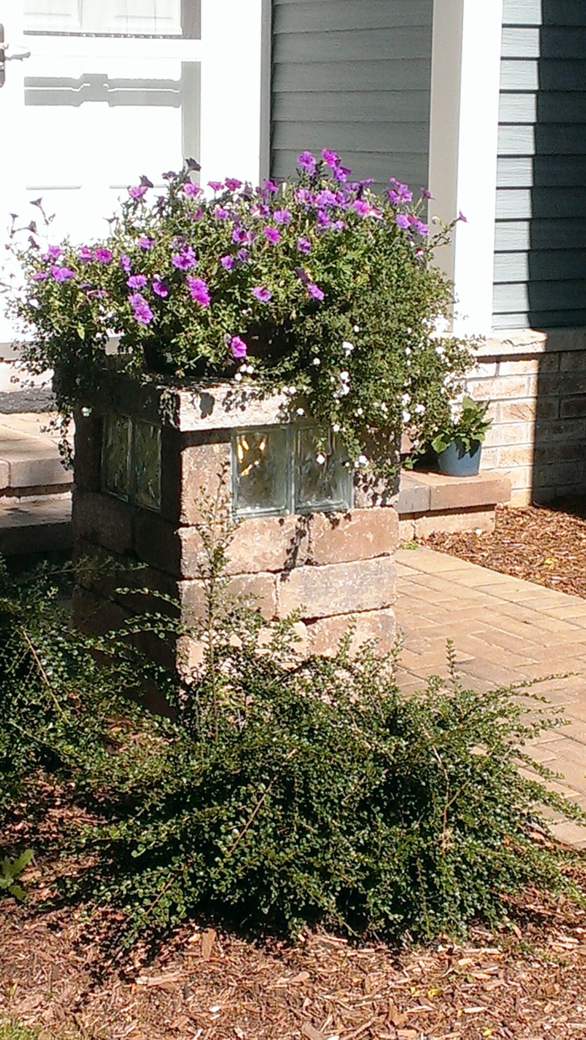 Lighting - Grow Rite Landscape