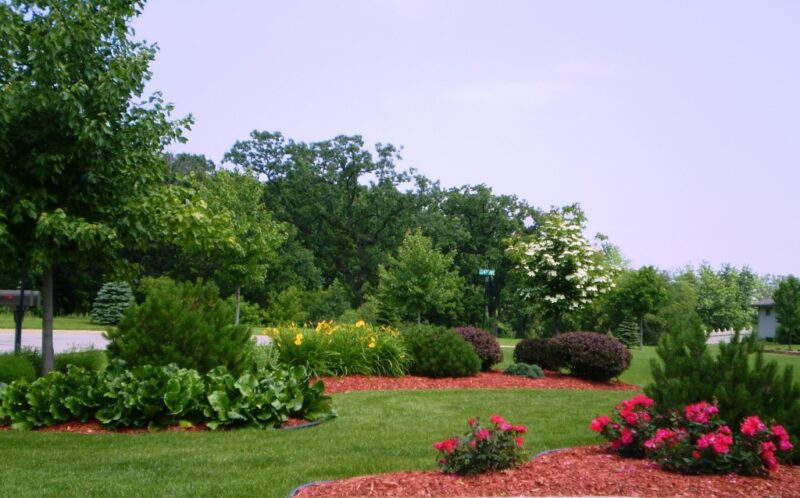 Softscape - Grow Rite Landscape