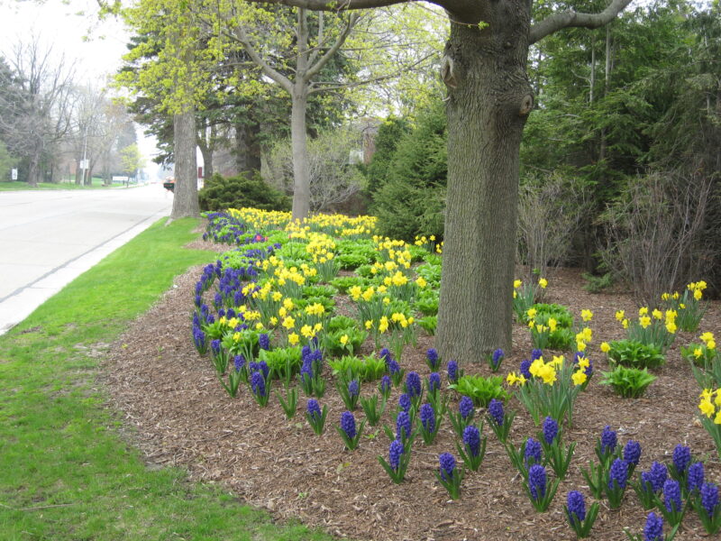 Softscape - Grow Rite Landscape